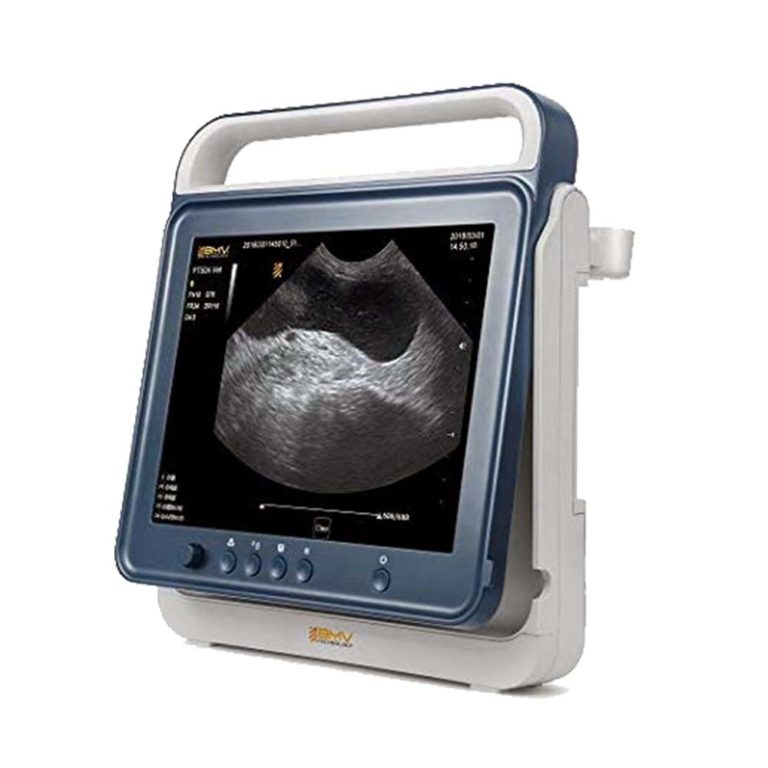 Ecógrafo Bovino Inalambrico Easi-Scan:Go – Royal Plus Technologies
